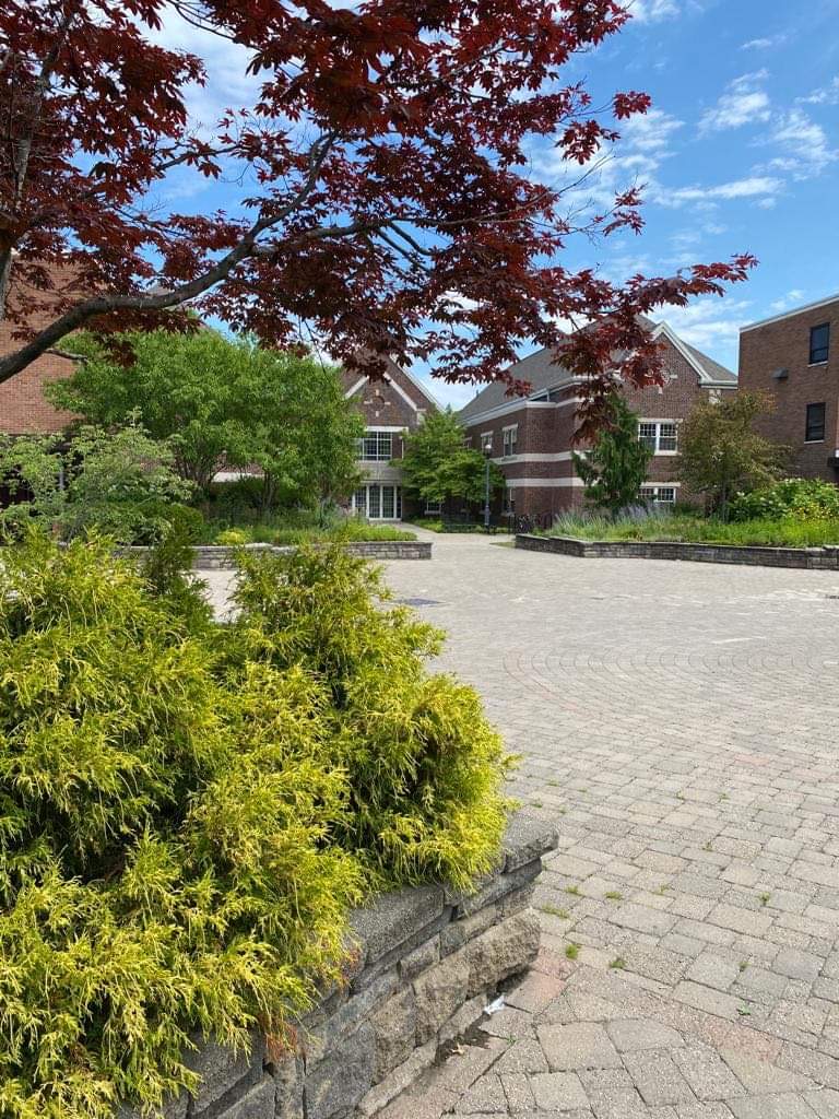 Getting To Know: Rensselaer Polytechnic Institute (NY) - Educated Quest