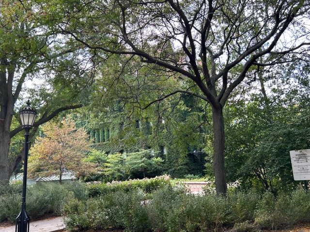 Getting to Know: UChicago - Educated Quest